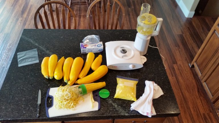 Preserving Summer Squash (Plus Recipes!) – Hearty Smarty