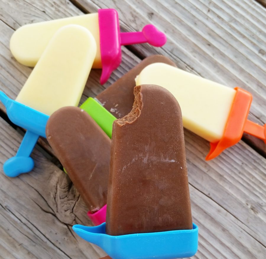 Delicious Homemade Pudding Pops – Hearty Smarty