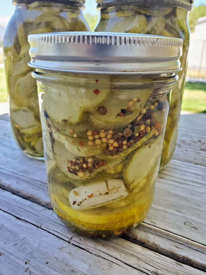 Refrigerator Dill Pickles – Hearty Smarty